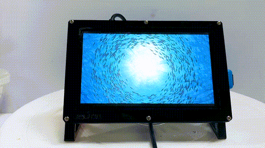 DSI screen